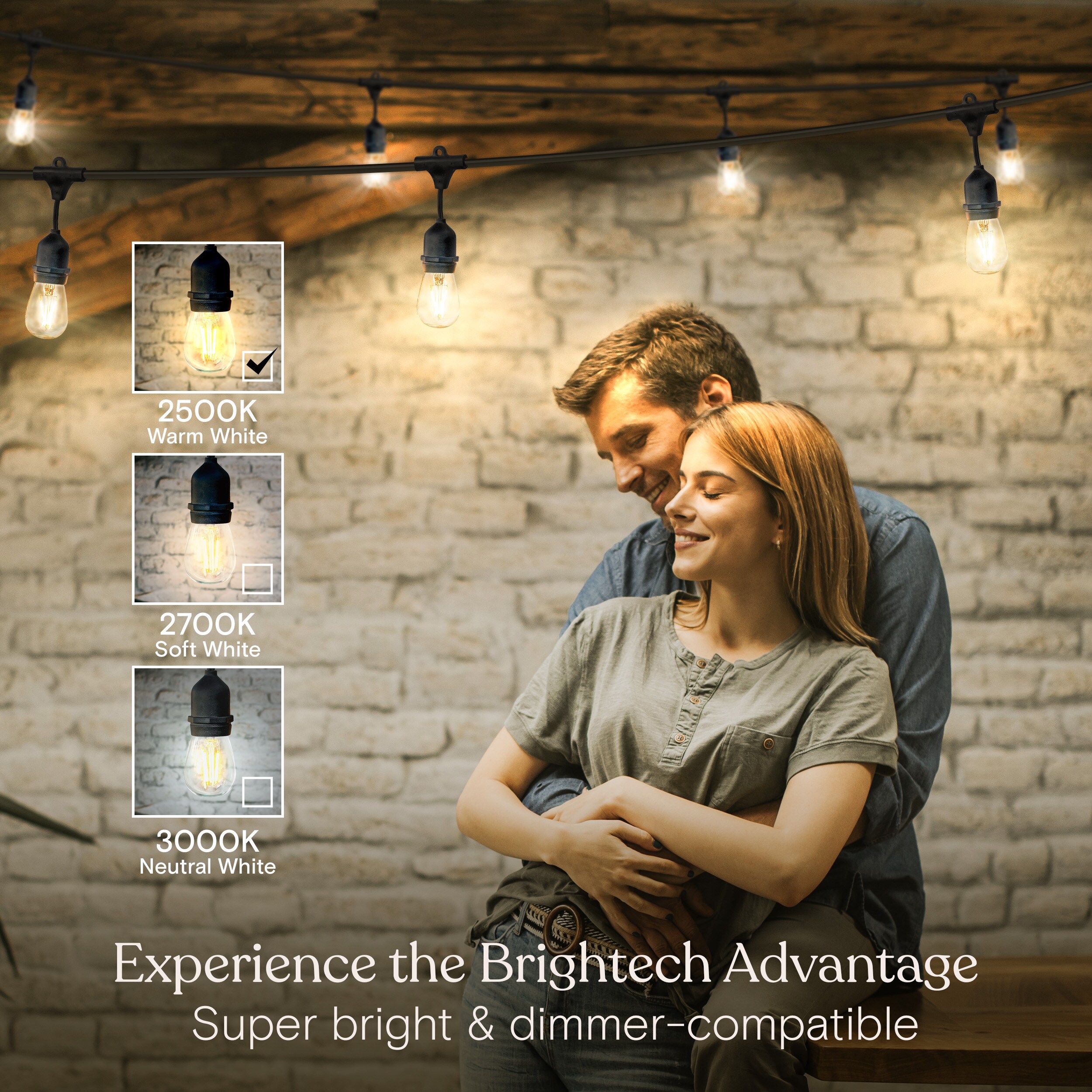Brightech 48-ft Ambience Pro Outdoor Plug-In LED 2-Watt String Lights ...