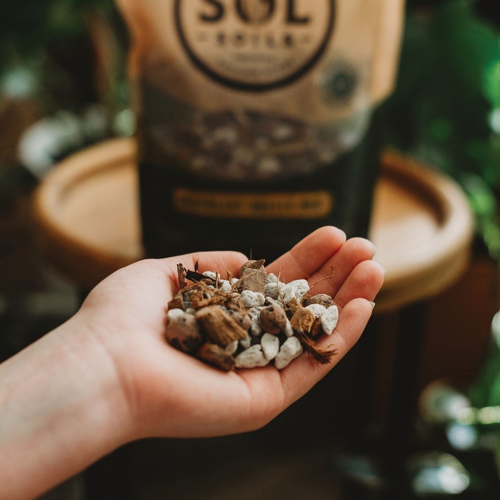 Sol Soils 1 Gallon Succulent Potting Mix Fast Draining Peat Moss Free ...