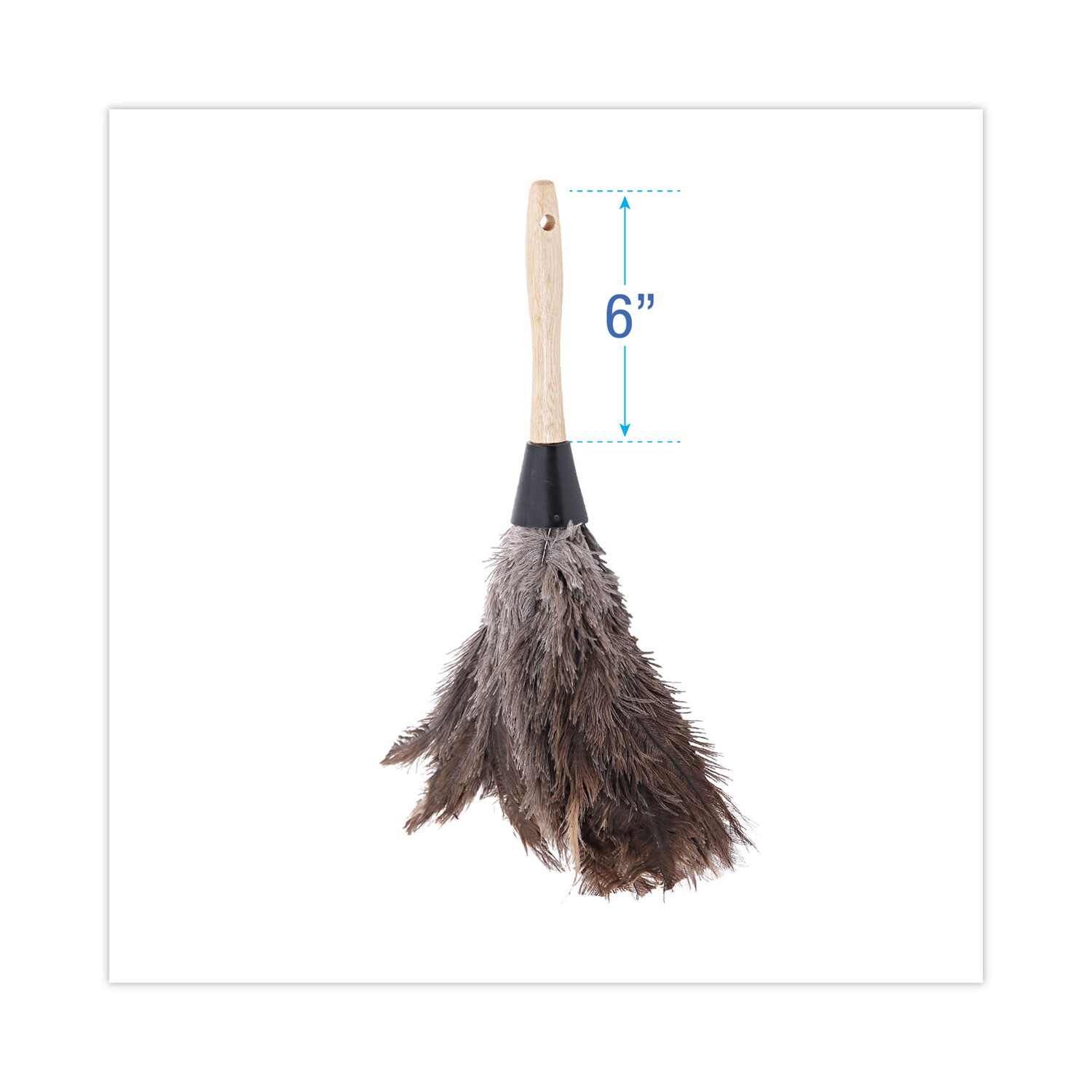 Boardwalk Professional Ostrich Feather Duster 6 in Wood Handle in the ...