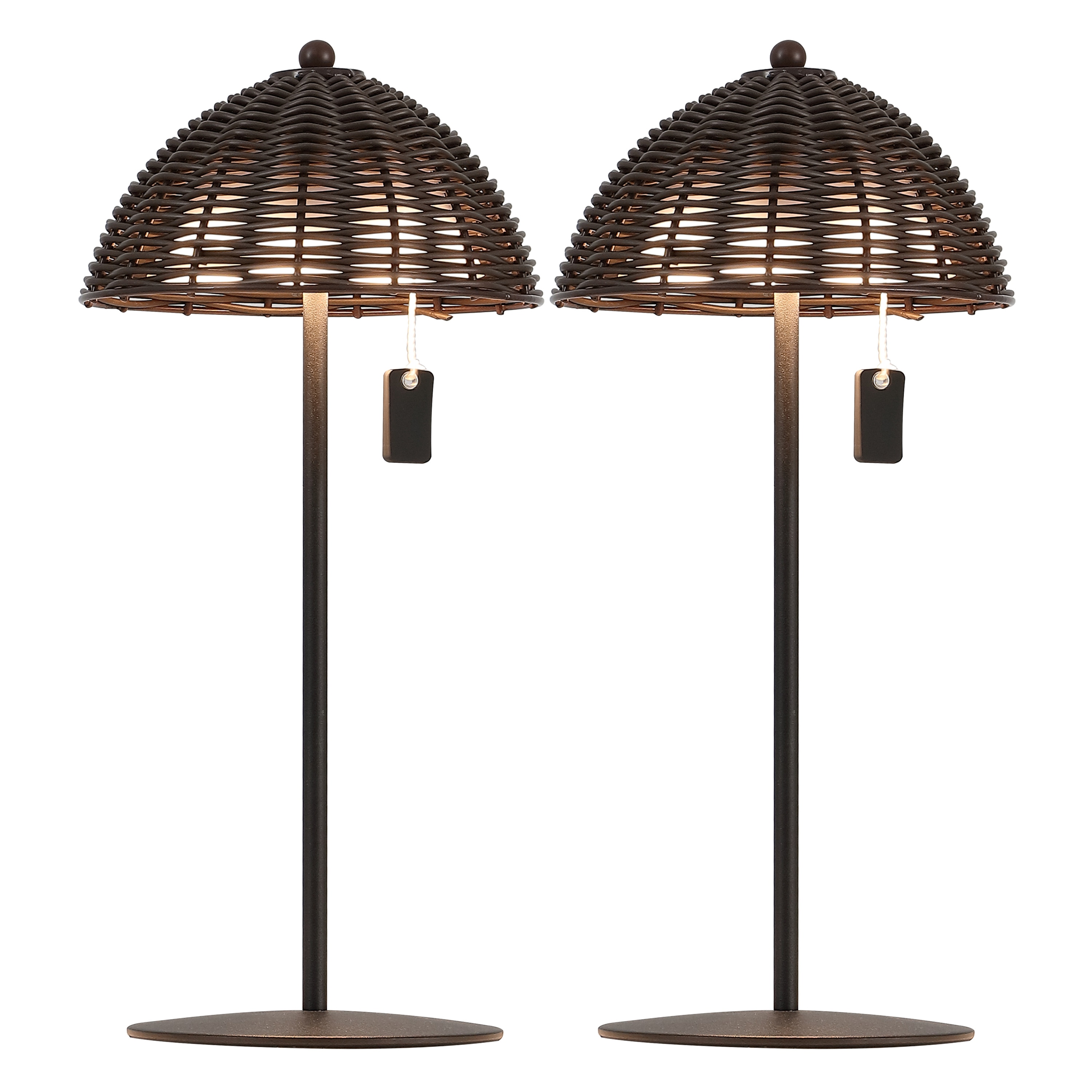 JONATHAN Y Tilly Coastal Wicker Rechargeable 12.75-in Dark Brown/Black ...