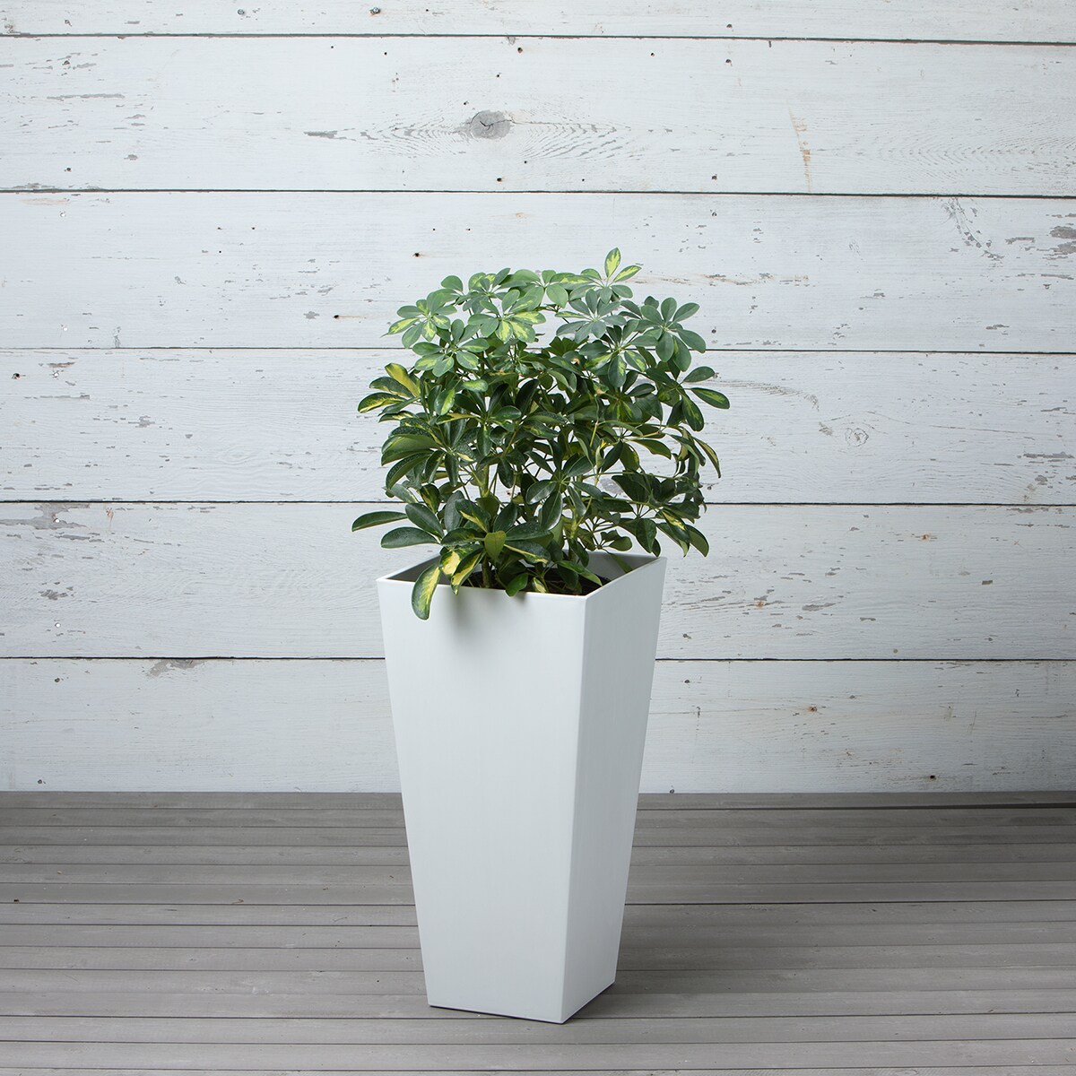 Root & Vessel 27.5-in H White Plastic/Stone Blend Indoor/Outdoor Self ...