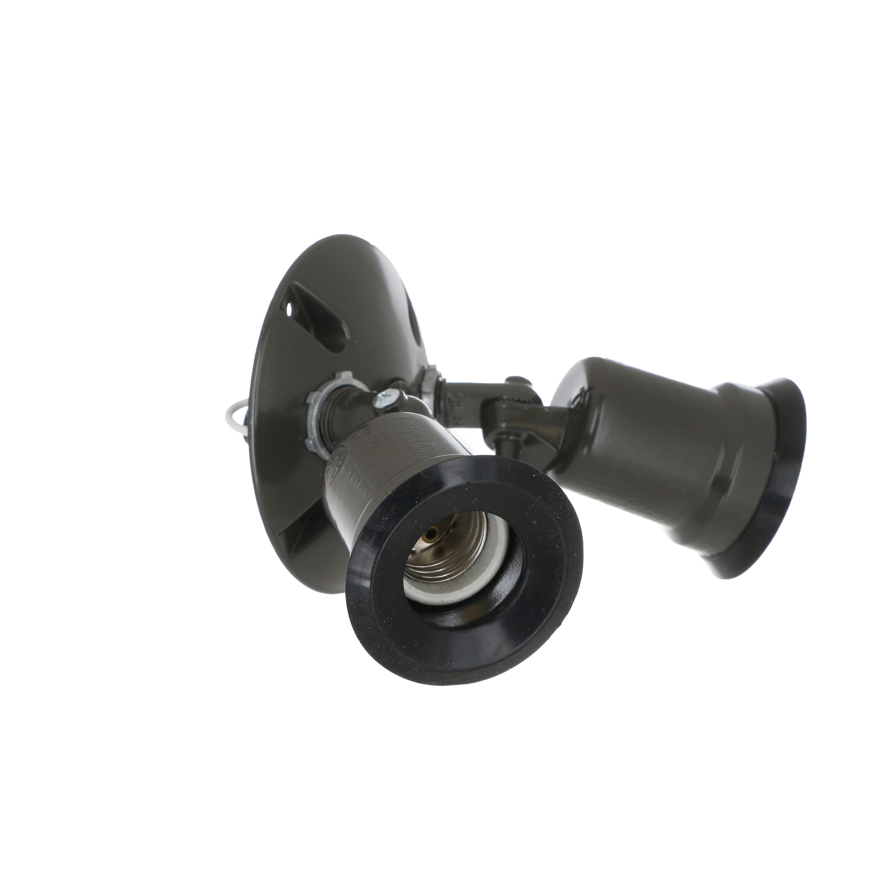 Hubbell Bell 300-Watt EQ LED Bronze 2-Head Switch-Controlled Flood ...