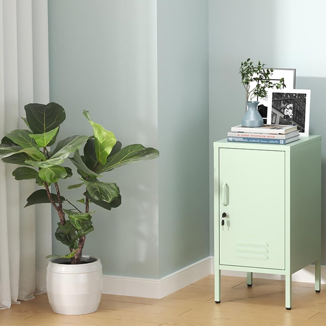 Qeetex Emerald Green Metal Storage Cabinet - Minimalist Single-Door ...
