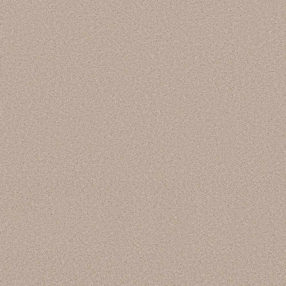 Style Selections (Sample) Soft Shelter I Sand Drift 25-oz sq yard ...