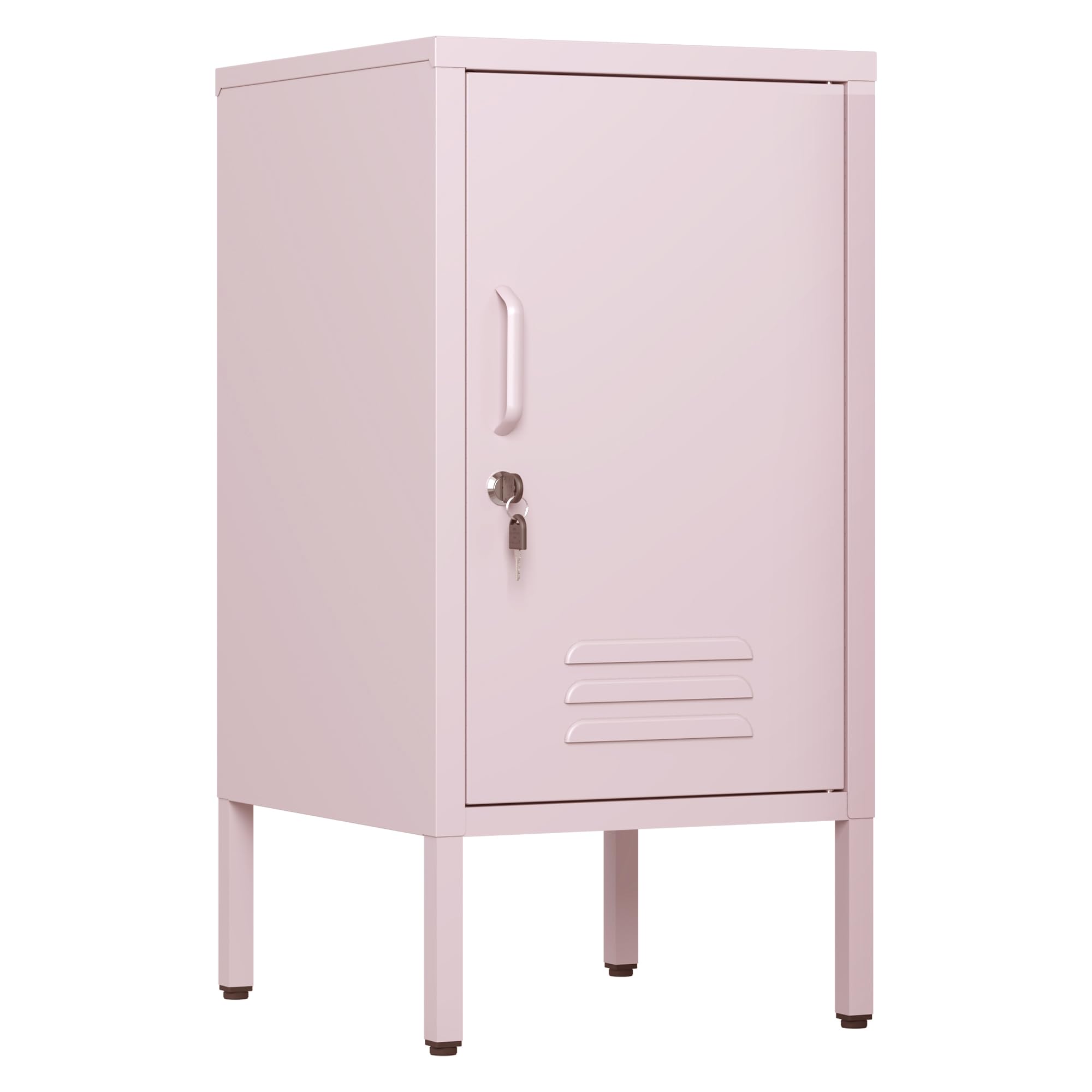 DEXSO 27.55 Inch Metal Locker Storage Cabinet With Adjustable Shelf 1 ...