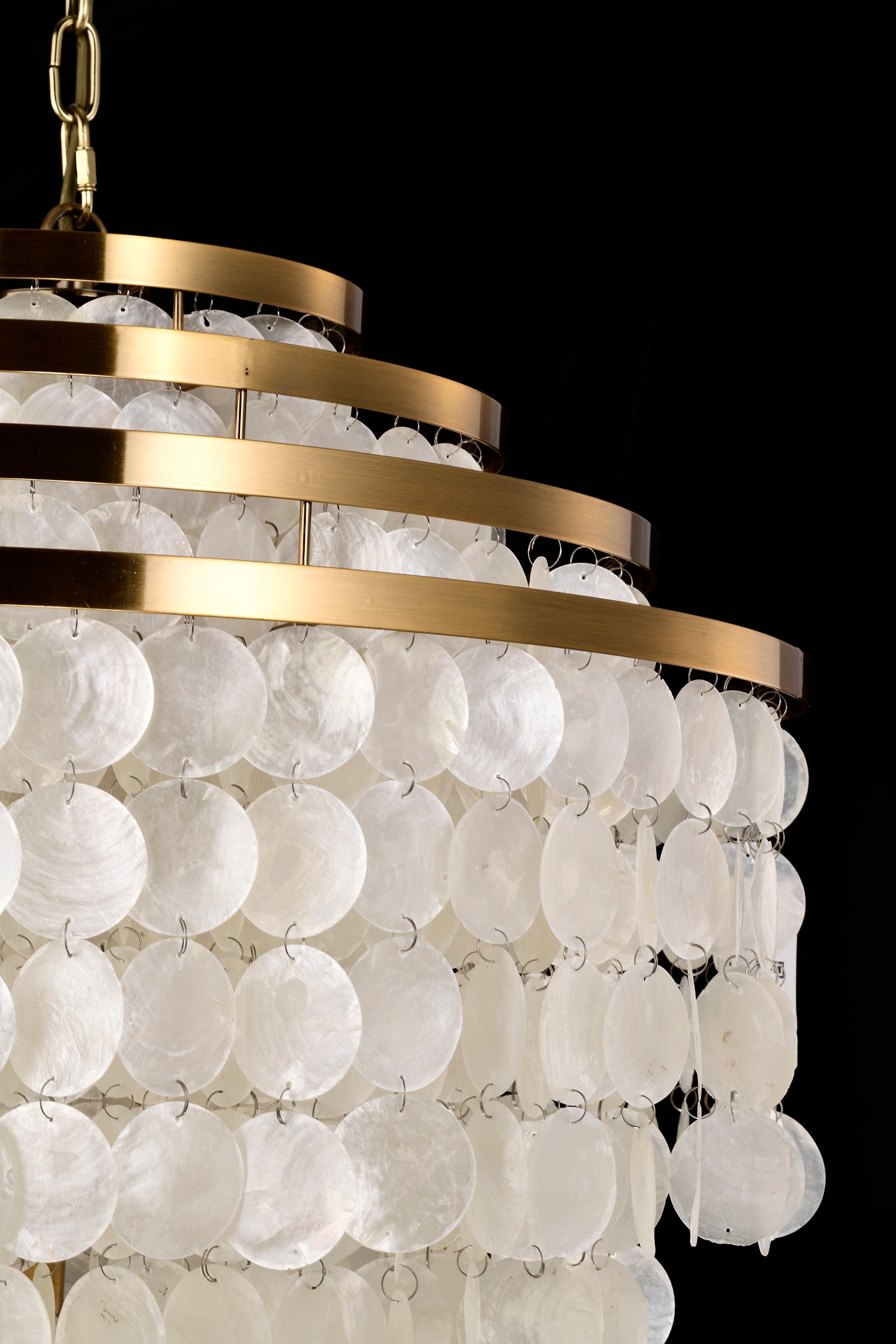 Edvivi Quintana 5 -Light Brass Shell Iron Chandelier in the Chandeliers ...