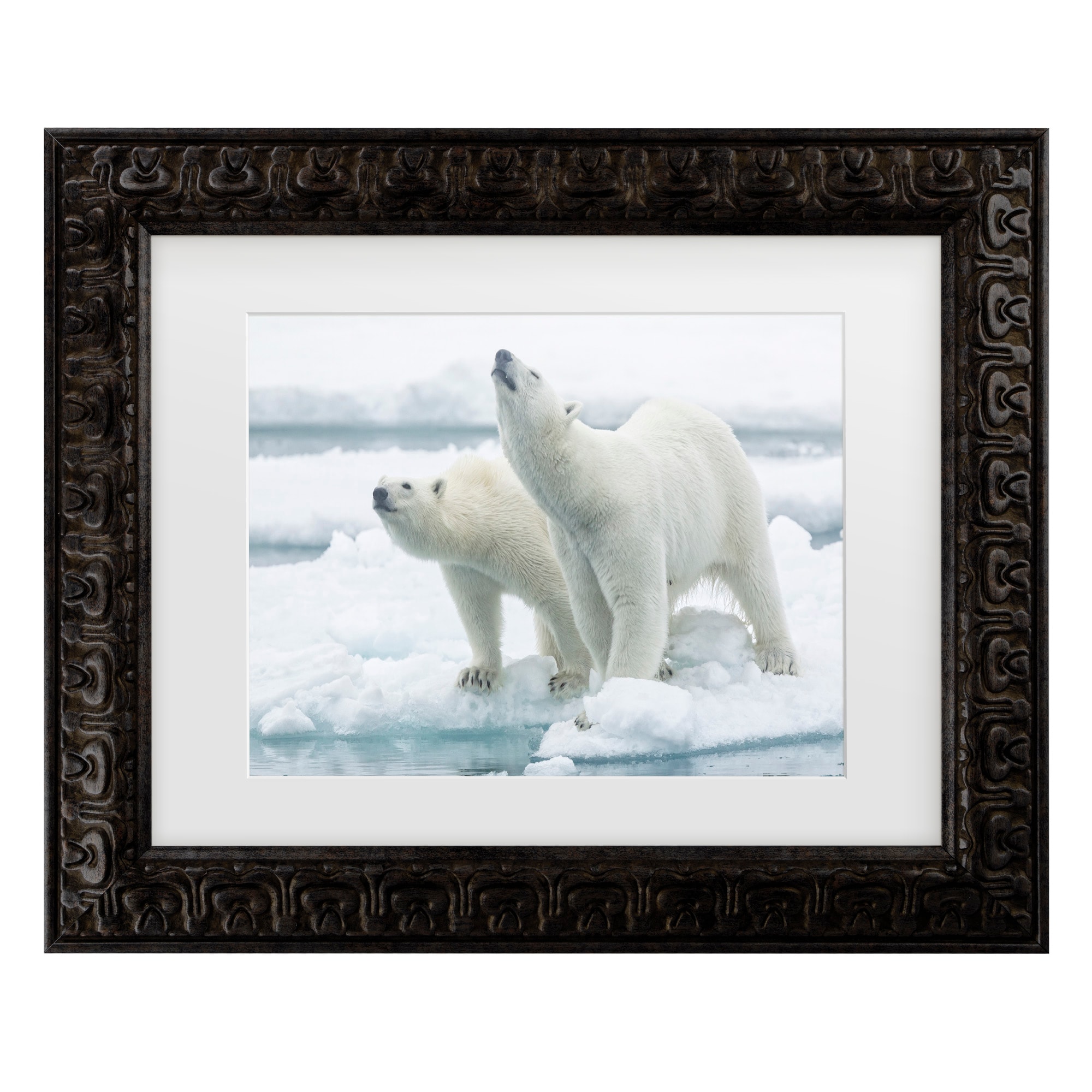 Trademark Fine Art Polar Bears, Mother and Son Joan Gil Raga Multicolor ...