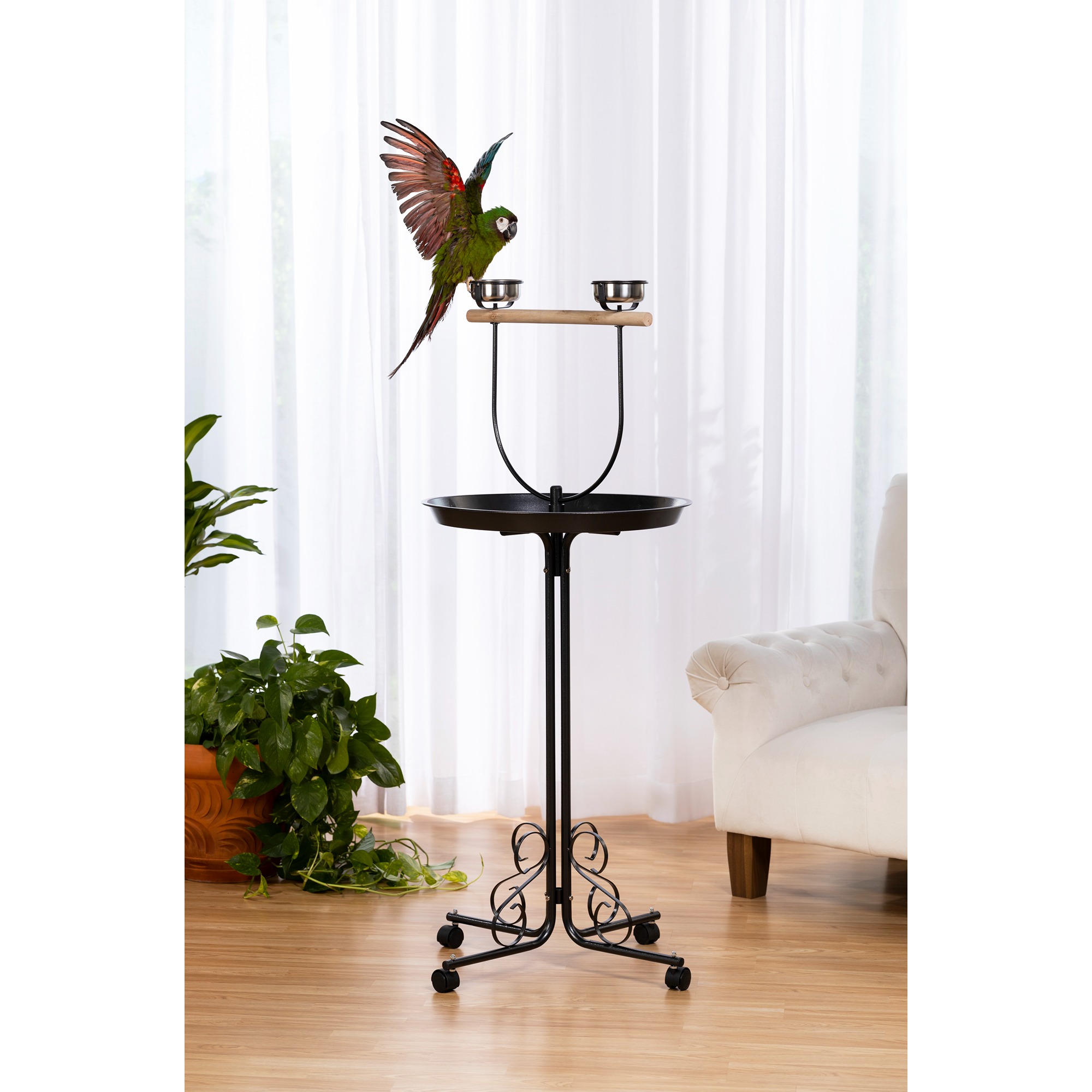 Prevue 1 -Count Black Protective cage in the Bird Feeder Accessories ...