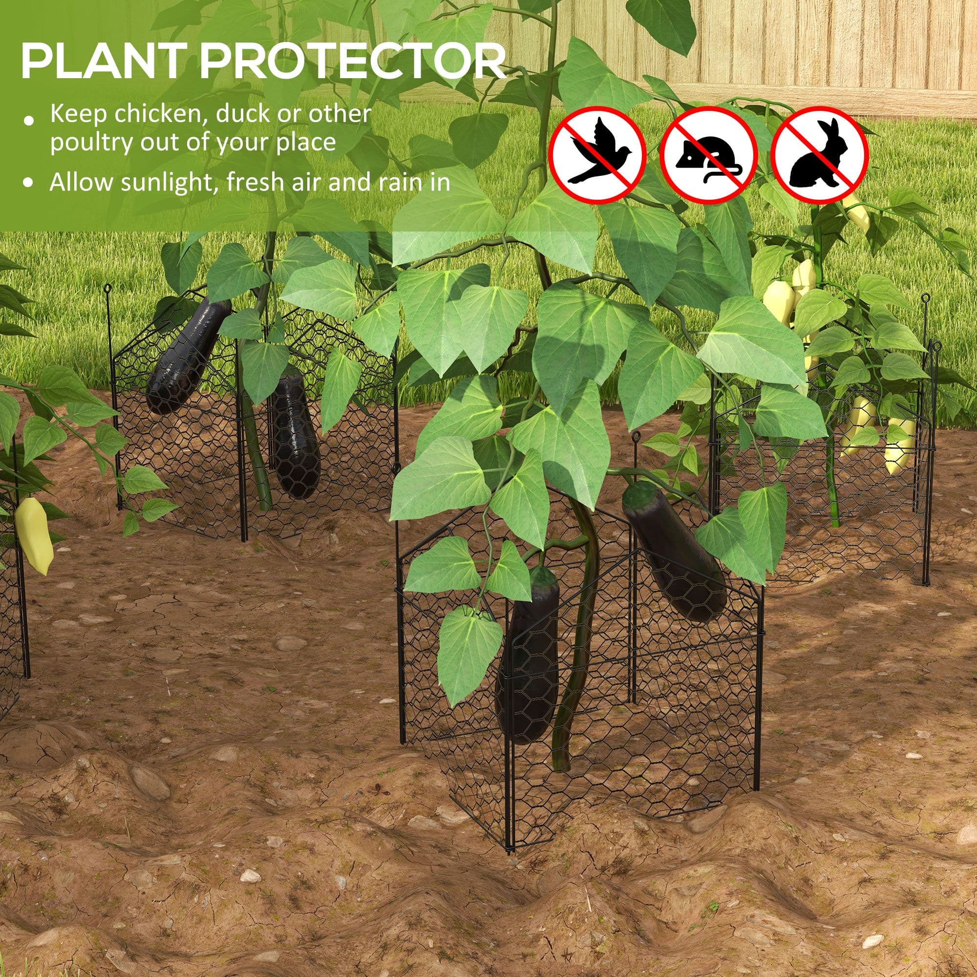 Angel Sar 4 Pack Black Metal Garden Cloches 12 x 14 Inch Plant ...