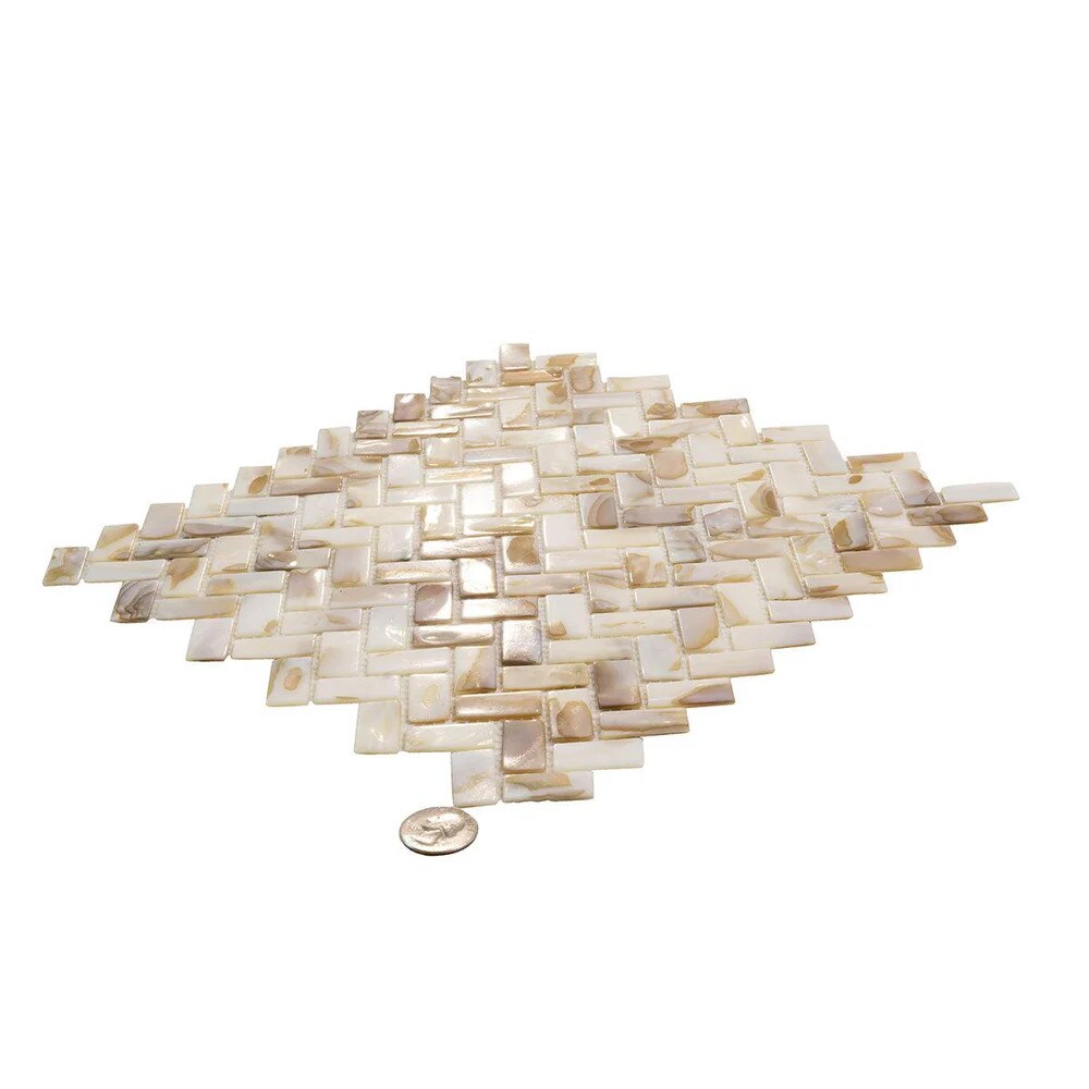 Apollo Tile Sample - Concha White, Beige 4-in x 5-in Polished ...