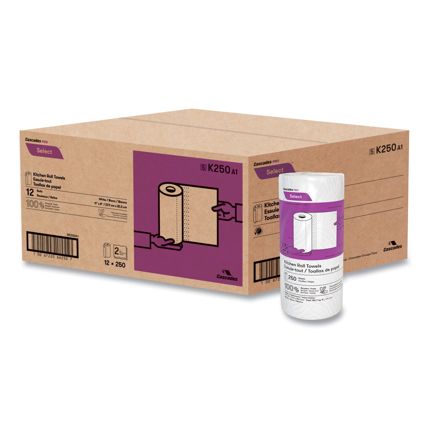 Cascades PRO Select Kitchen Roll Towels 2 Ply 8 x 11 250 per Roll 12 ...