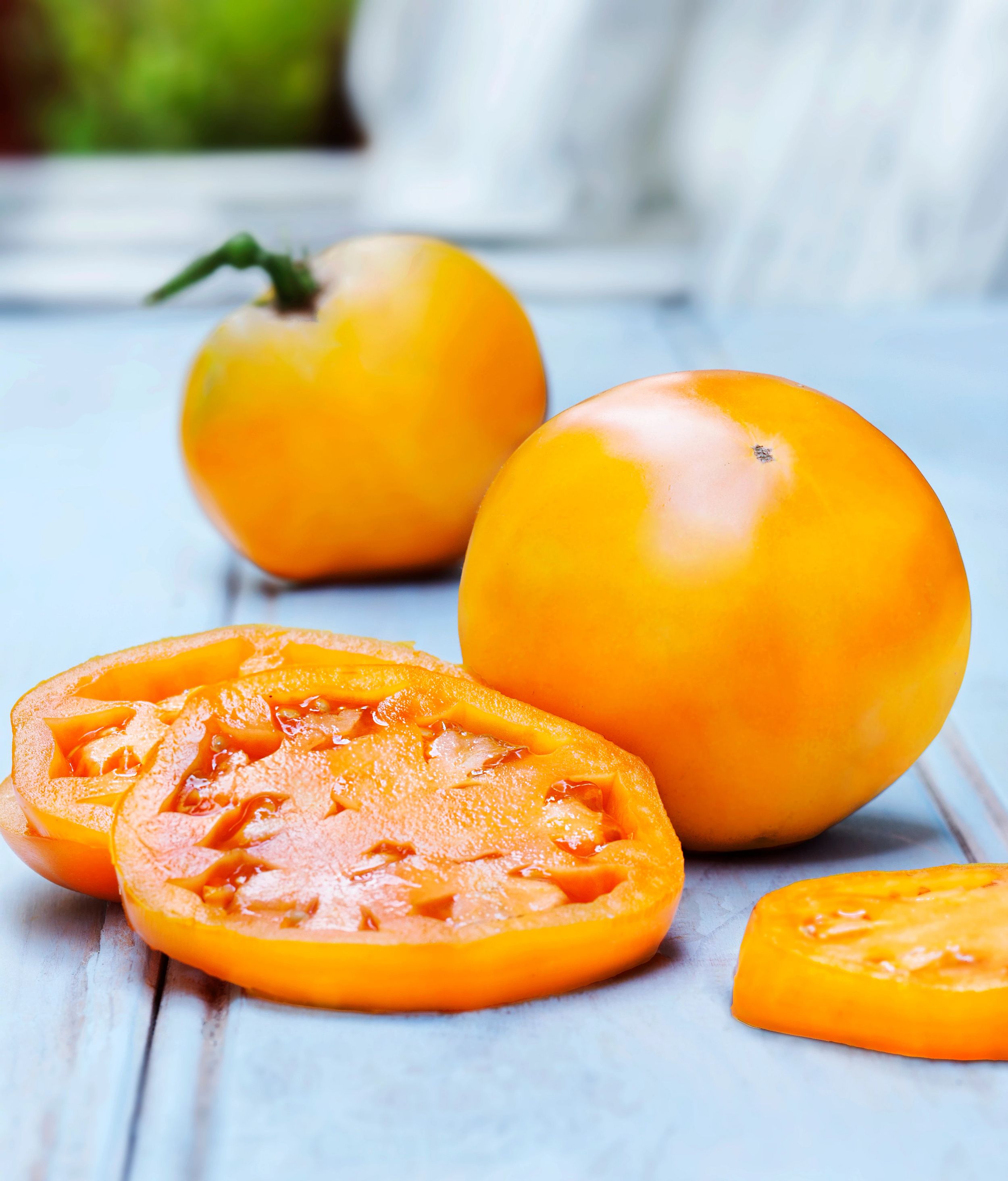 Bonnie Plants Bonnie Plants Golden Jubilee Tomato 19.3 oz. 2-Pack Live ...