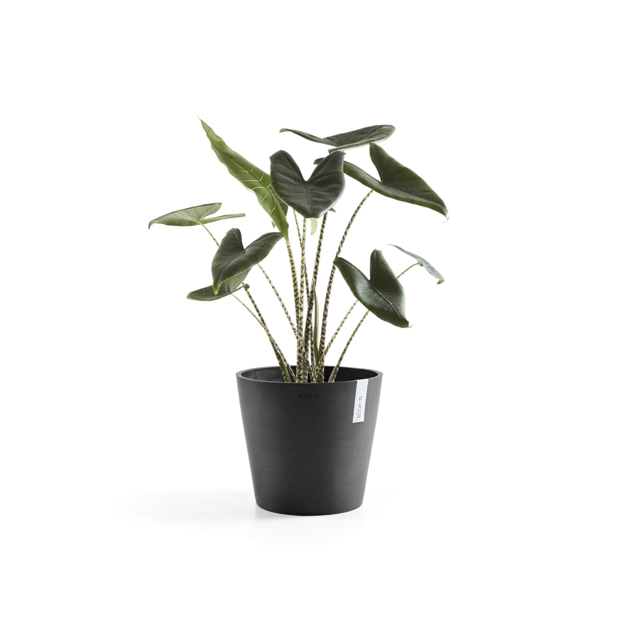 ECOPOTS Amsterdam Modern Round Recycled-Based Composite Flower Pot ...