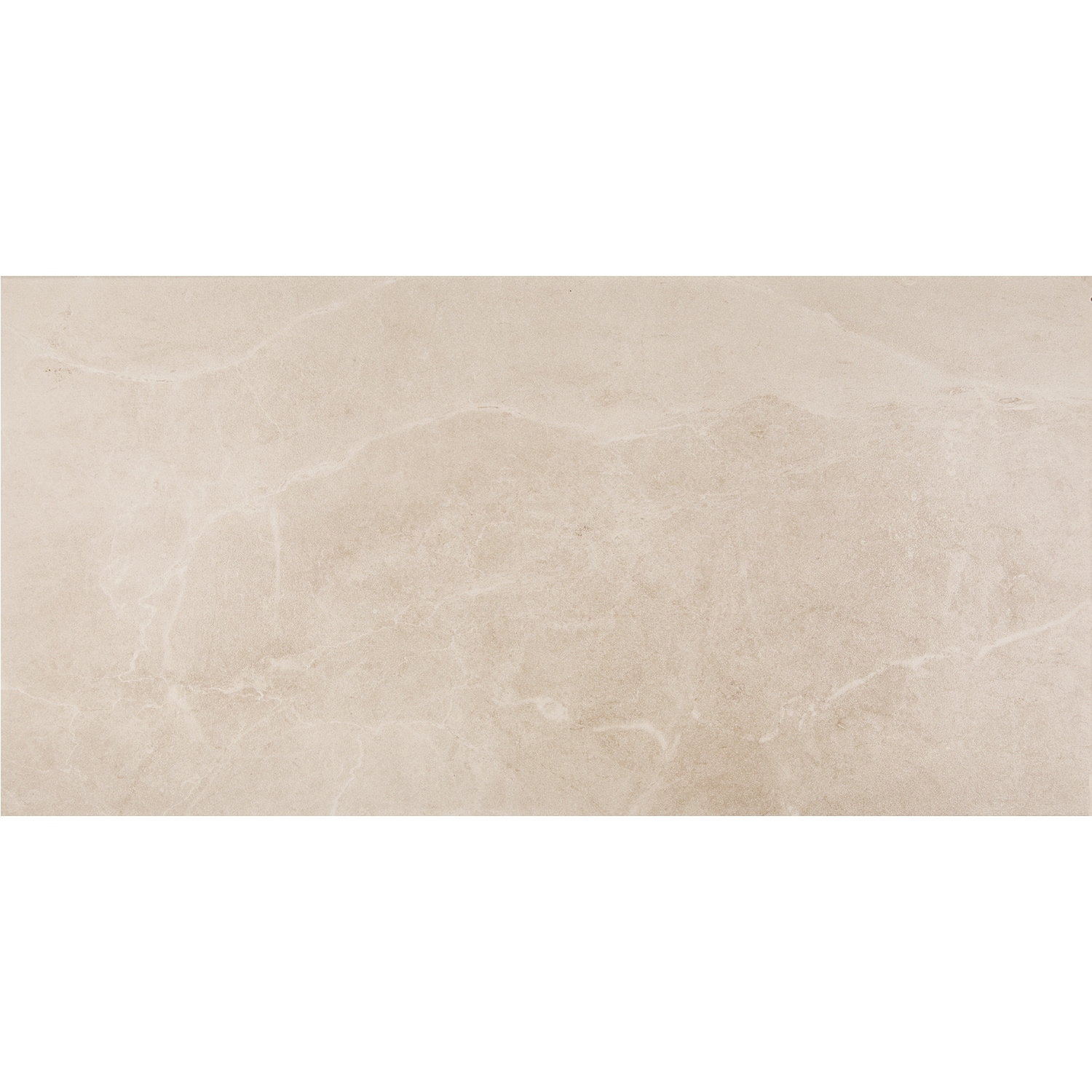 Daltile Advantage 12-in x 24-in Matte Ceramic Floor and Wall Tile ...