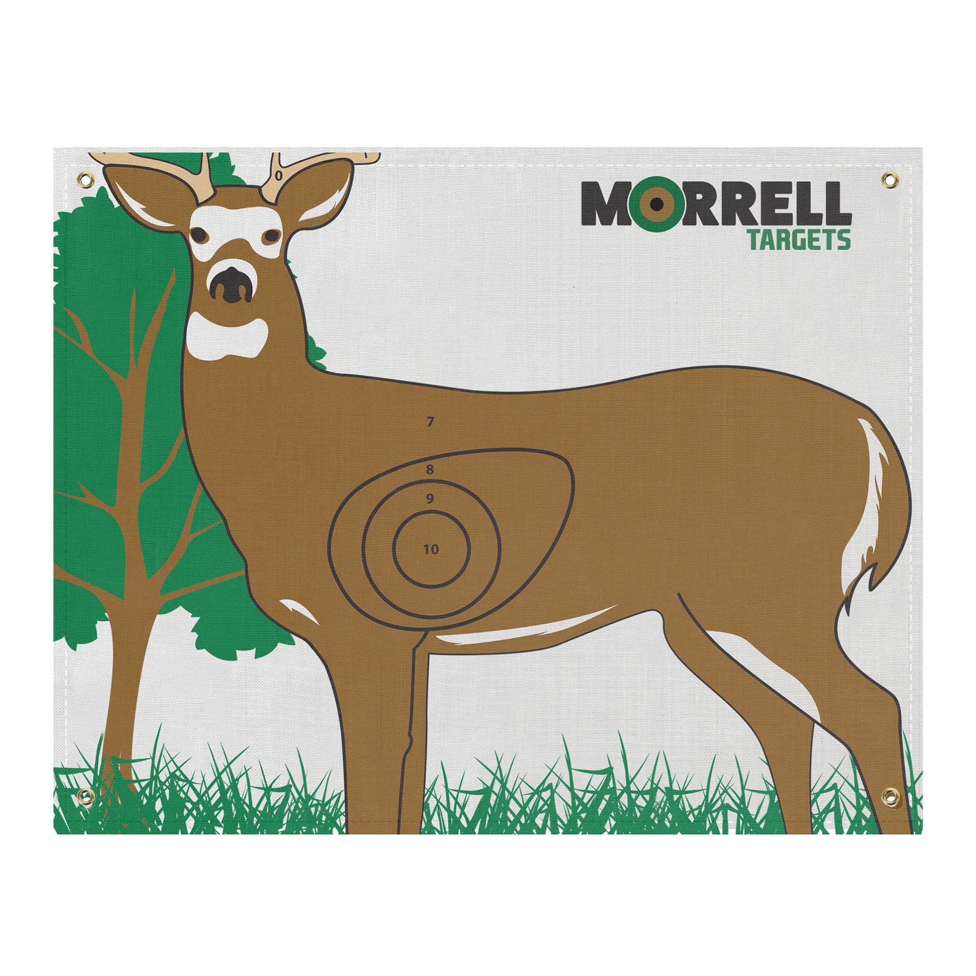 MORRELL TARGETS Hunting Blinds & Tree Stands at Lowes.com