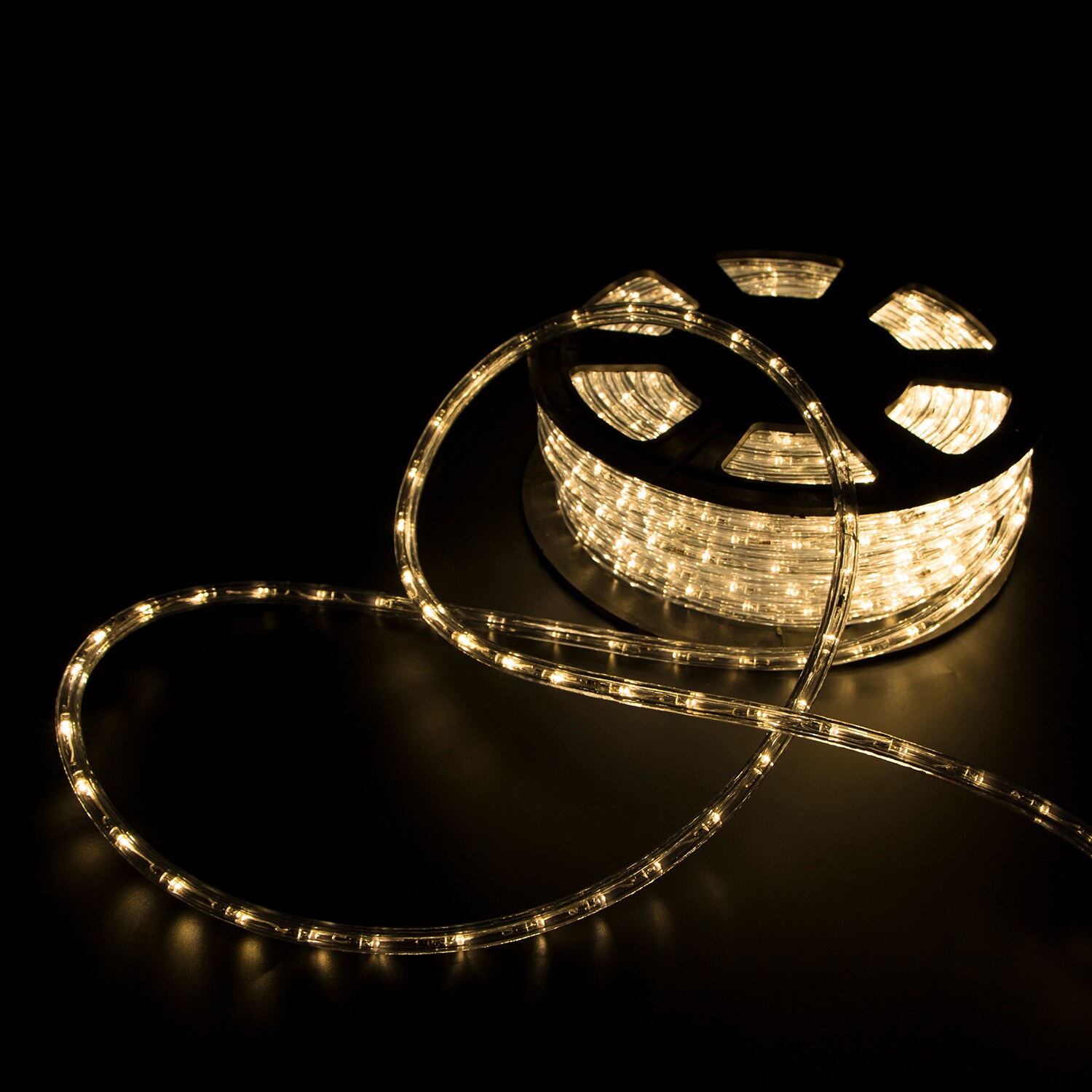 WALSPORT Indoor/Outdoor 100-ft Integrated LED Warm White Rope Light ...