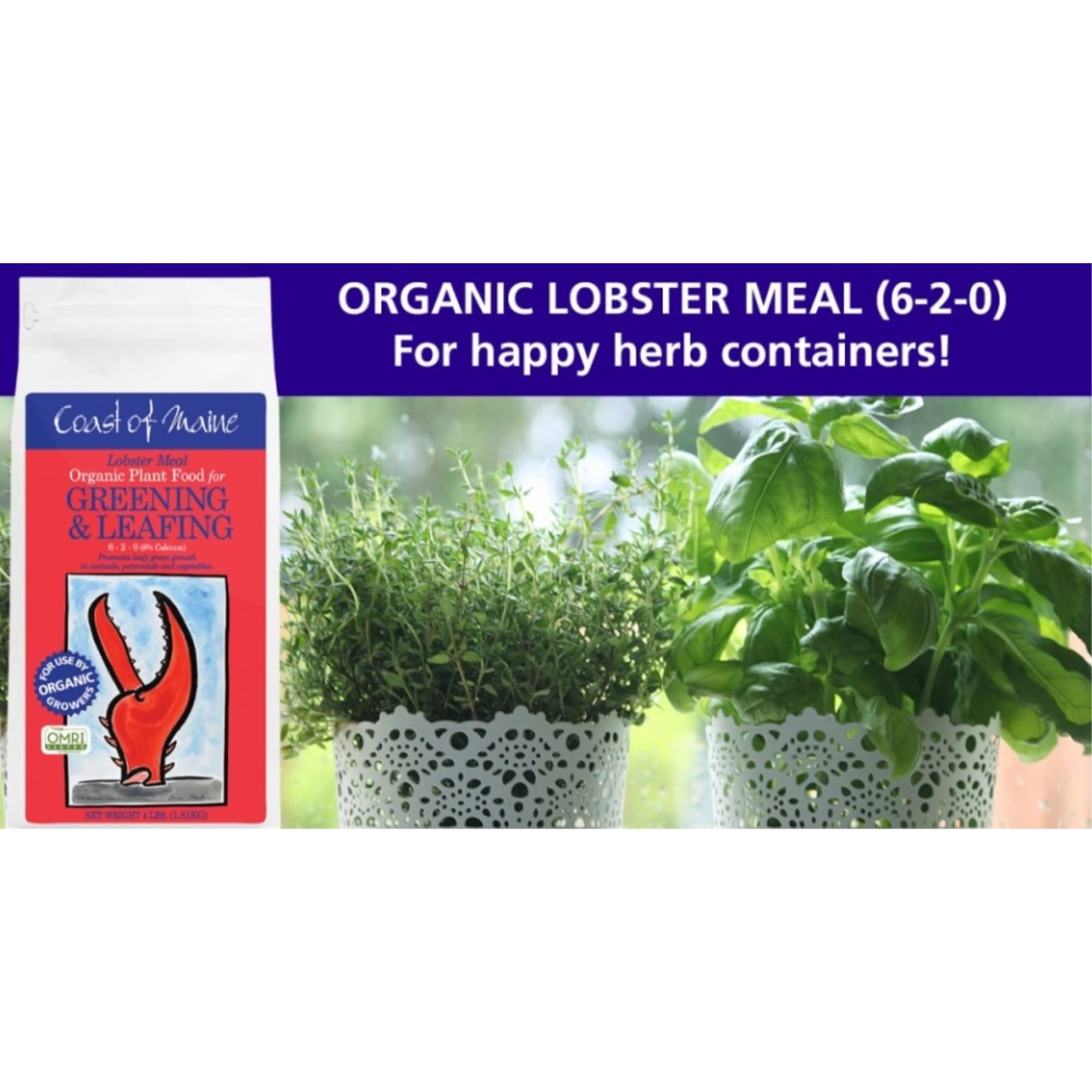 Coast of Maine Organic Lobster Meal Plant Food OMRI Listed for Vibrant ...