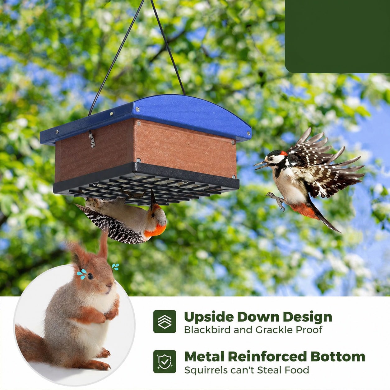 Adrinfly Upside Down Double Suet Feeder 5.5 x 5.5 x 3.2 Inch Recycled ...