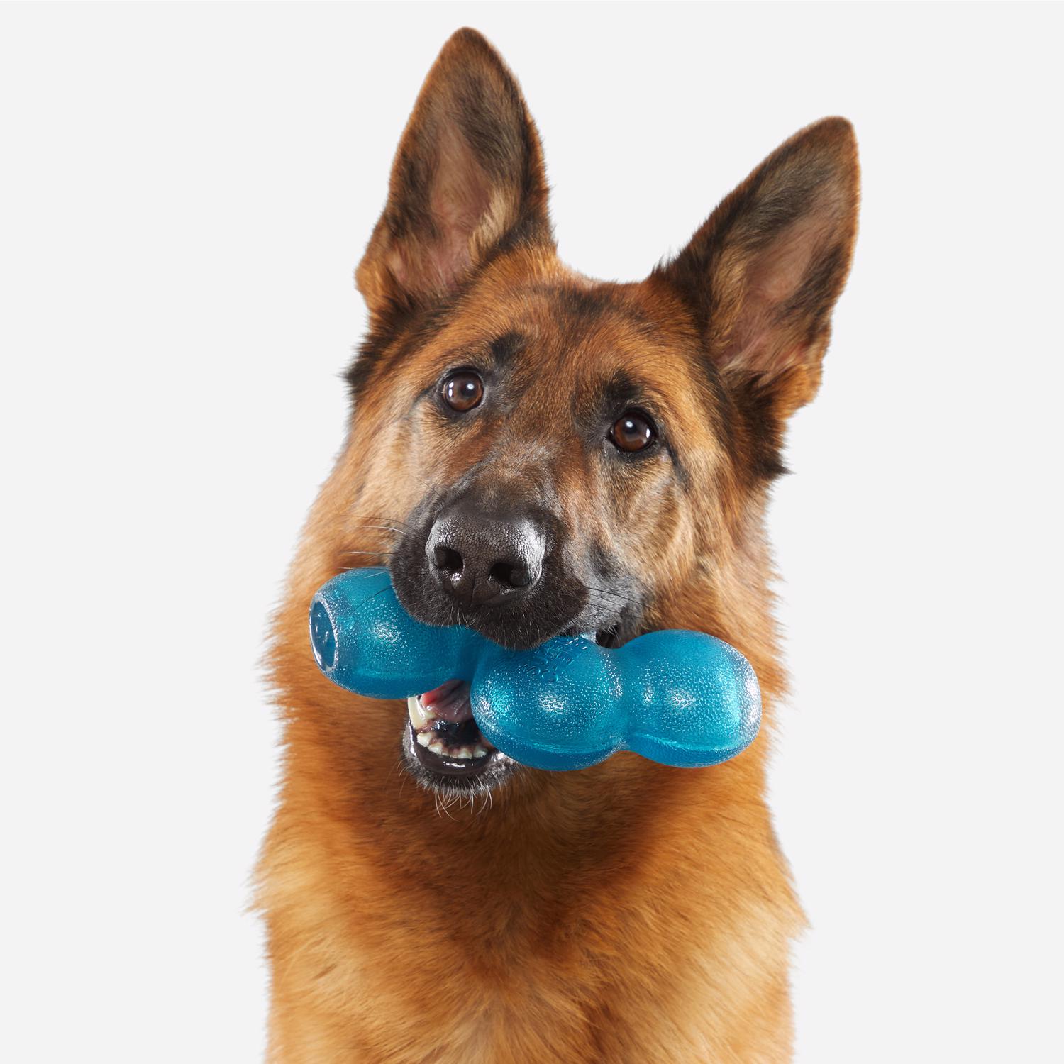 BARK Blue Plush Treat Giver River Dog Toy 1 pk Case of 3 in the Pet ...