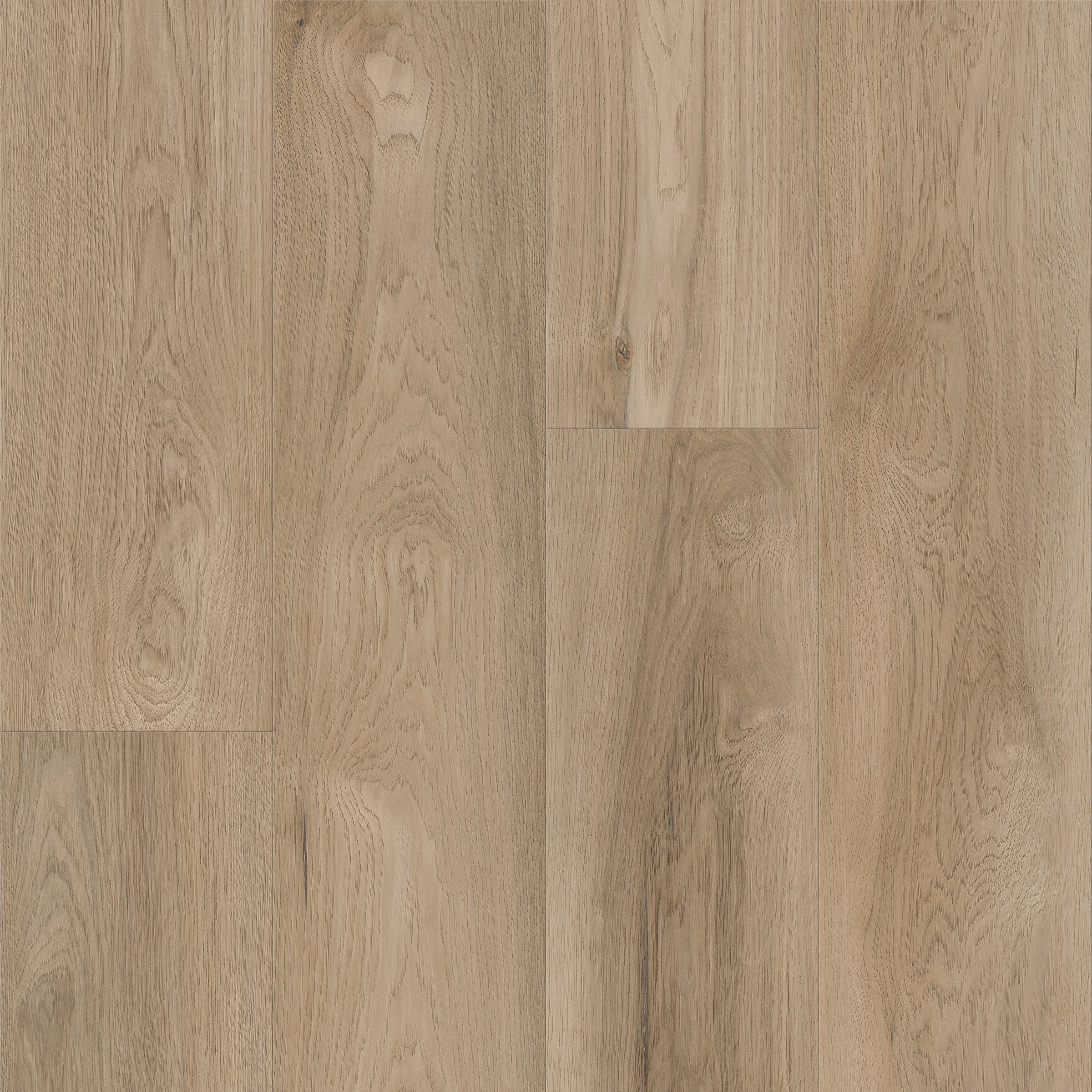 CALI (Sample) Laguna Pacific Plover Wood look 20-mil Waterproof Loose ...