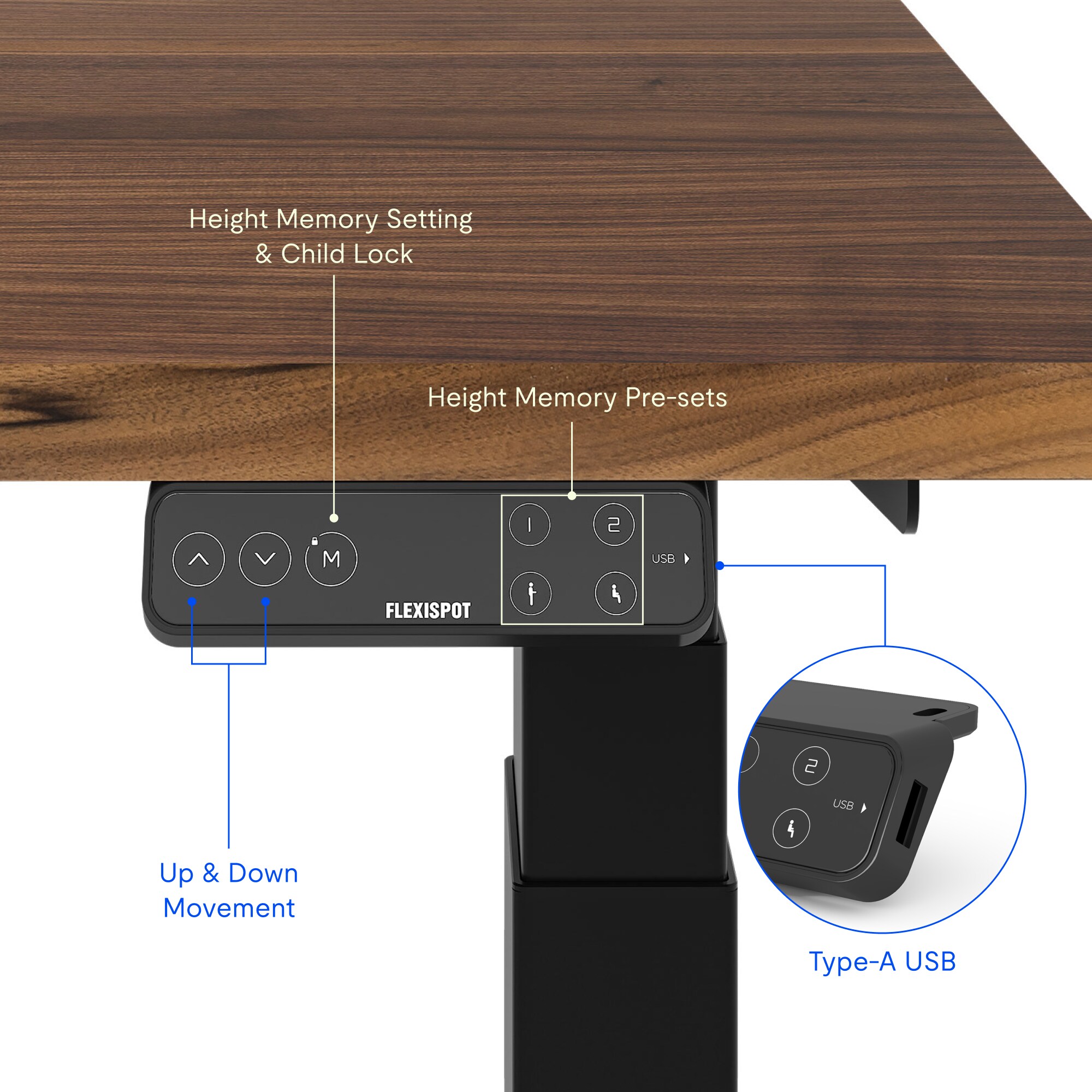 FlexiSpot 55-in Brown Modern/Contemporary Standing desk in the Desks ...