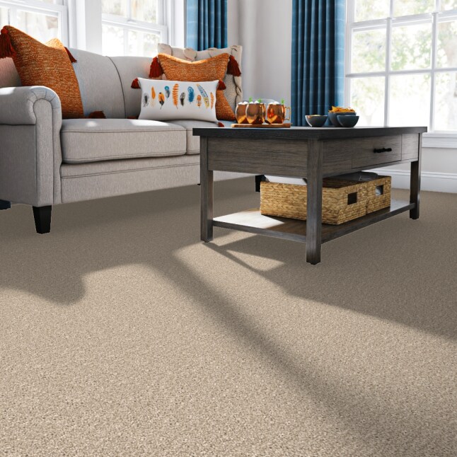 STAINMASTER PetProtect with LeakDefense Terrific Tails II Cafe Latte ...