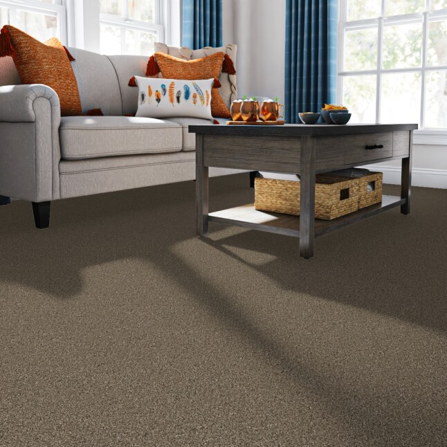 STAINMASTER Royal Flush III Straight Textured Indoor Carpet L5020-1812 ...