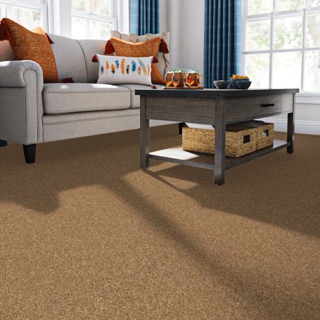 Style Selections Express Install Carolina Coast I Dockside View Brown ...