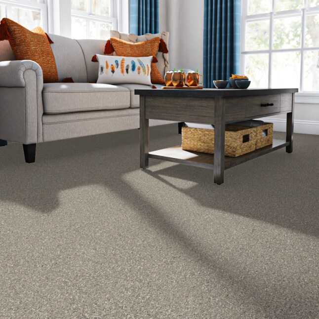 STAINMASTER PetProtect Wagging Rights II Pembroke Gray 55-oz sq yard ...