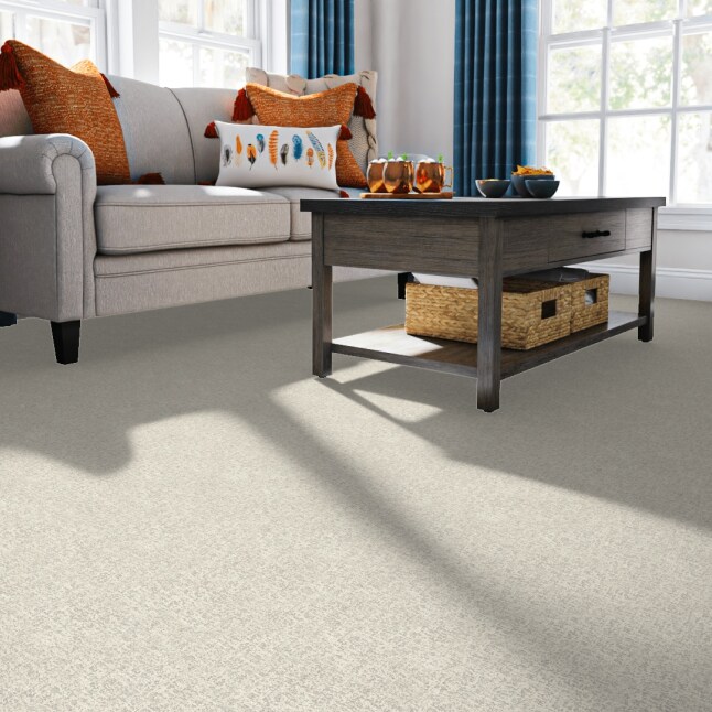 STAINMASTER PetProtect with LeakDefense Bone Appetit Alabaster Off ...